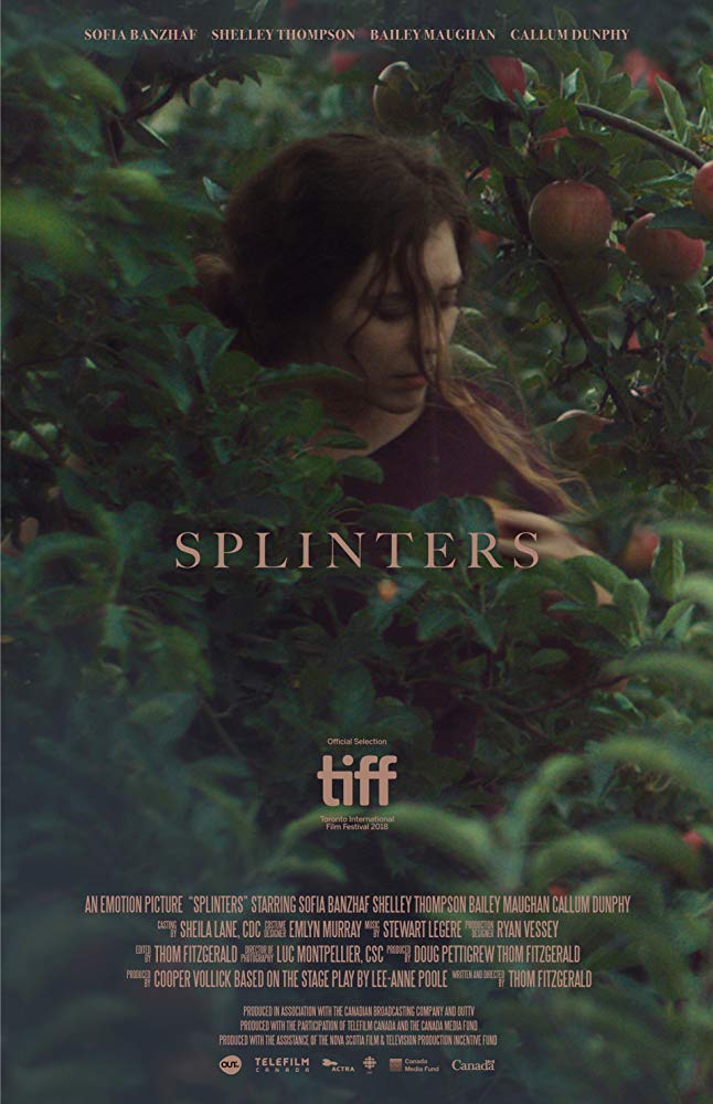 Thom Fitzgerald's "Splinters" - every family has their secrets – theBUZZ