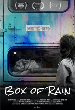 Box of Rain - story of a one Grateful Dead fan reconnecting with her ...