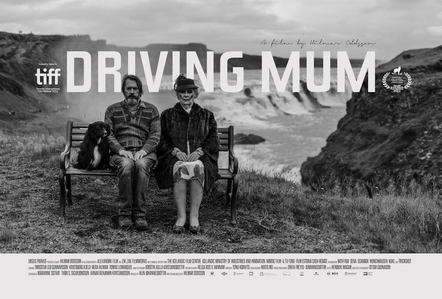 Driving Mum - comedic tale of one man's journey across Iceland, with ...